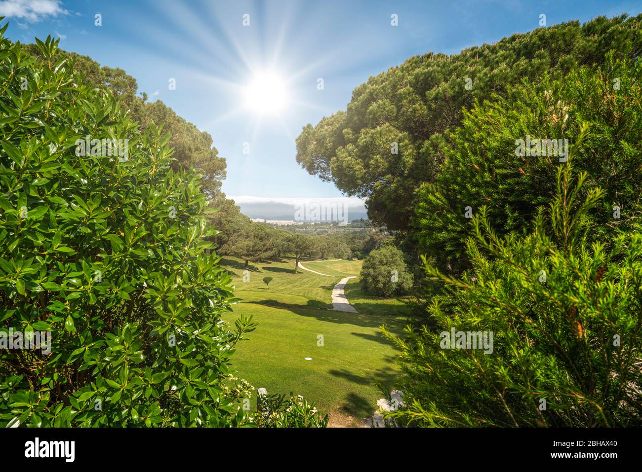 Golf course with sun facing Stock Photo - Alamy