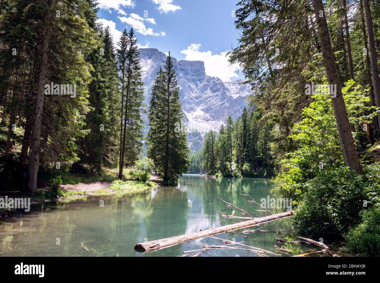 Floating tree hi-res stock photography and images - Alamy