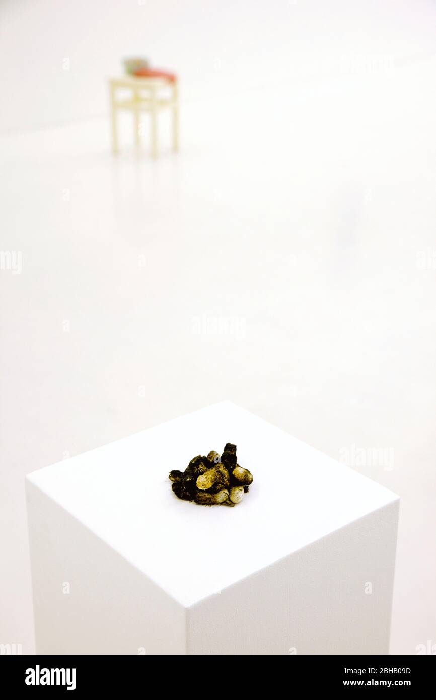 Museum, Exhibition, Installation, City, Iceland, Reykjavik Stock Photo ...