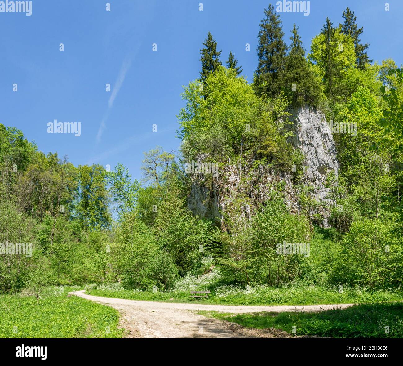 Germany, Baden-Württemberg, Hayingen, near the Bear Cave in the Glastal ...