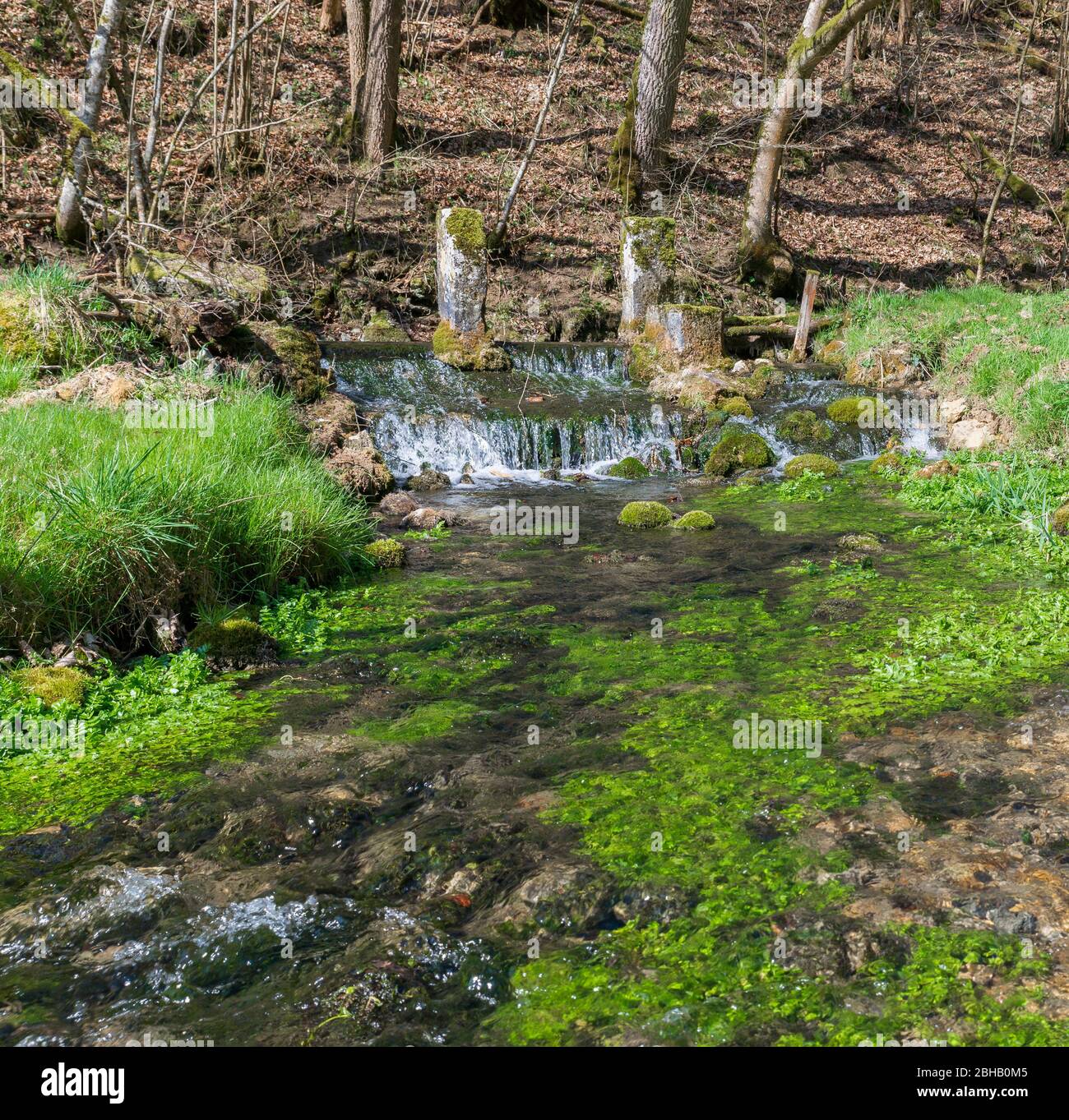 Germany, Baden-Wuerttemberg, Hayingen, Der Hasenbach in the Glastal ...