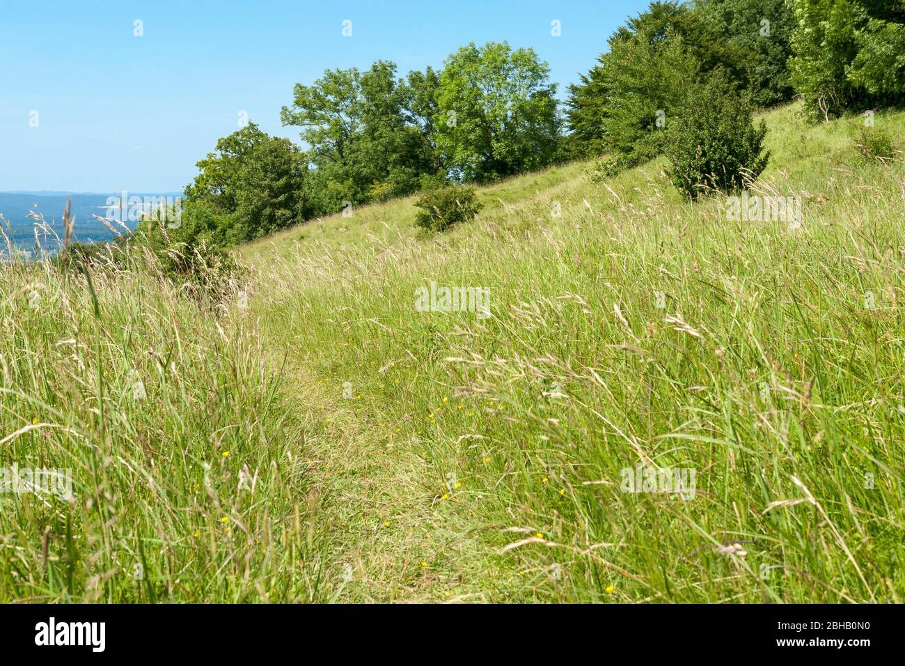 Germany, Baden-Württemberg, Bissingen an der Teck, trail through the ...