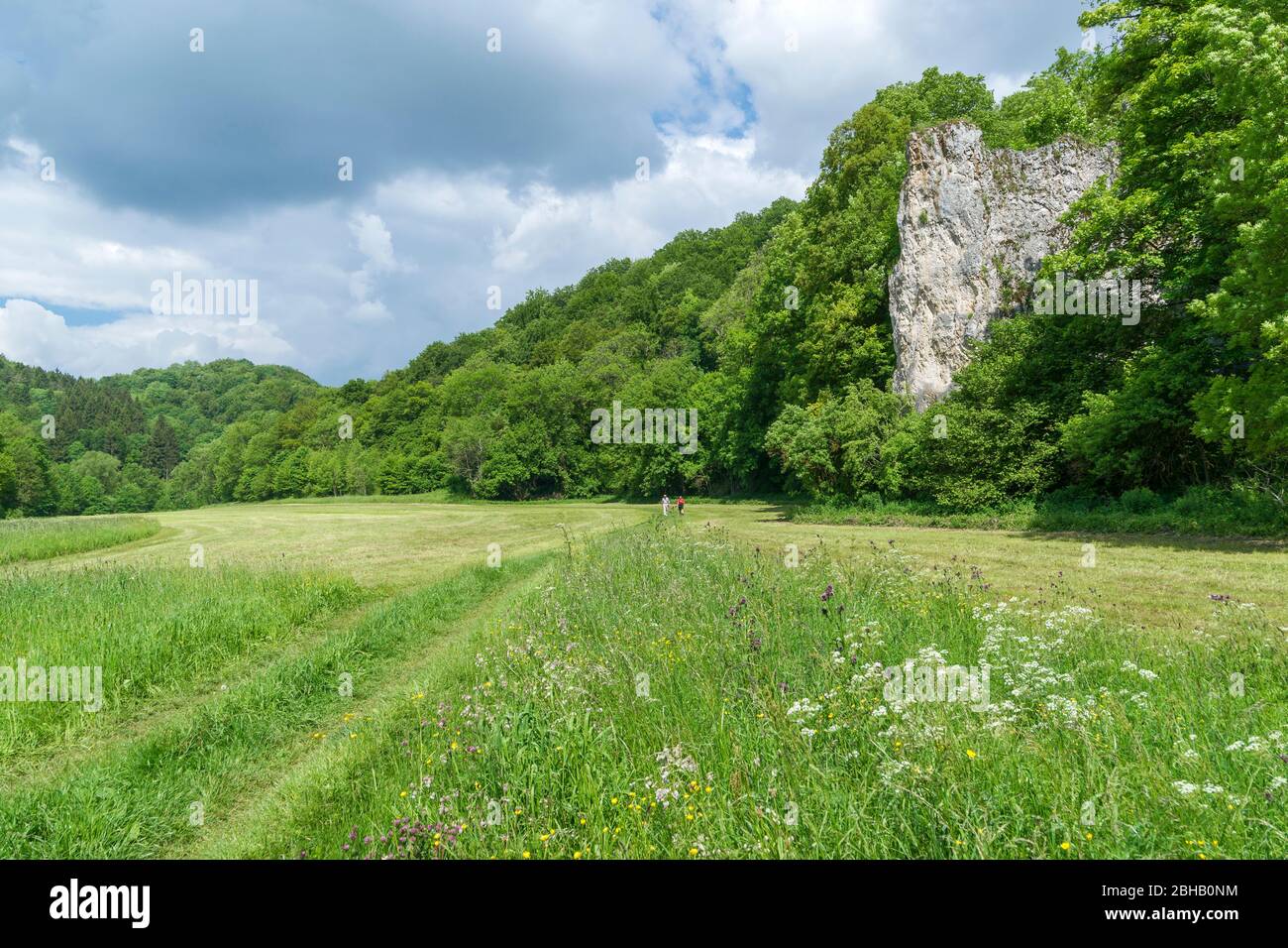 Hayingen anhausen hi-res stock photography and images - Alamy