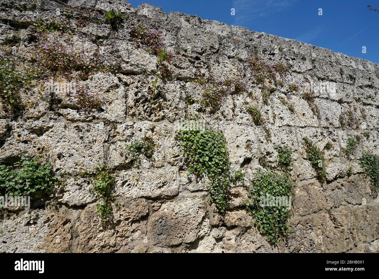 Travertine tuff hi-res stock photography and images - Alamy