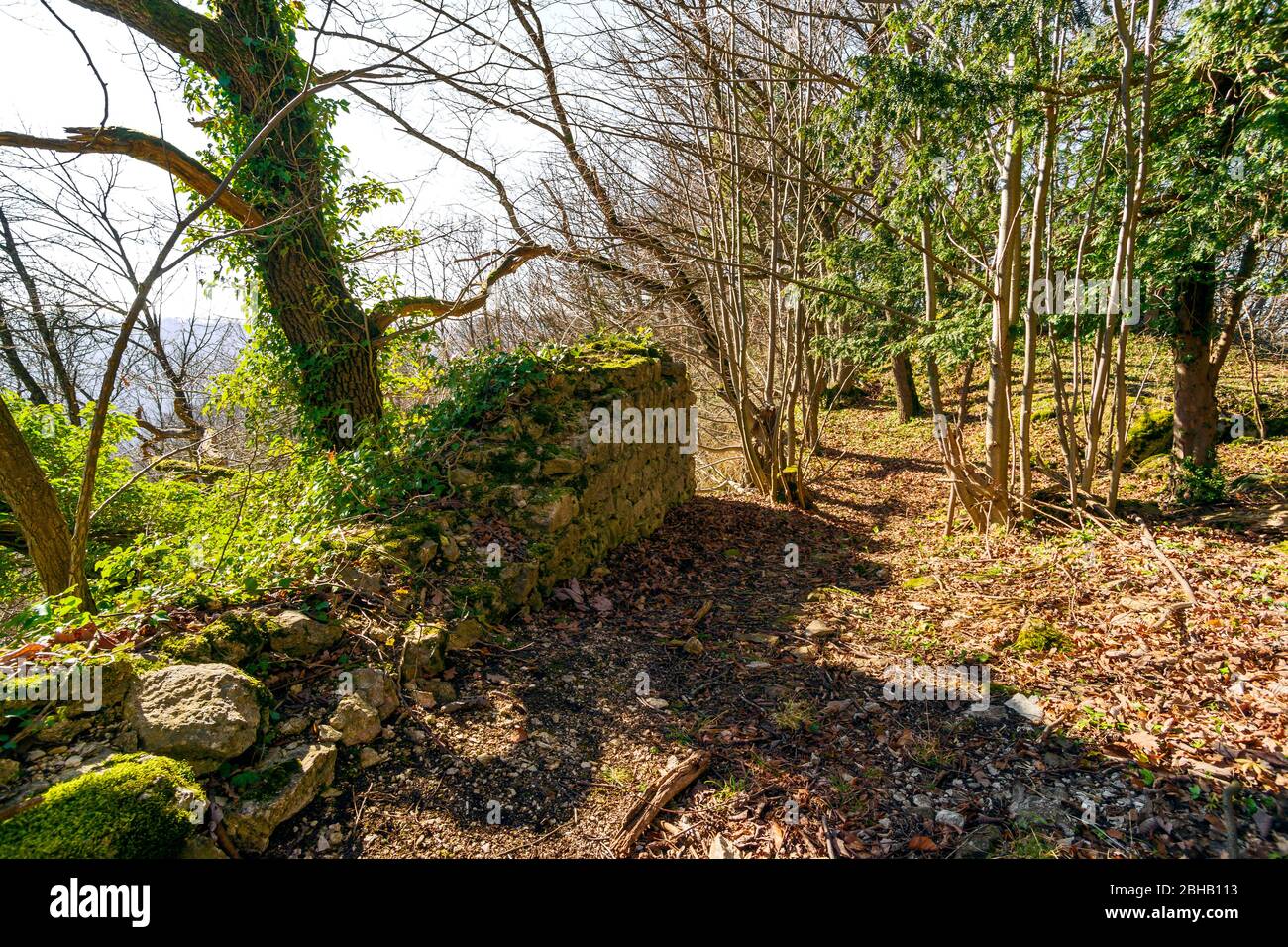 Germany, Baden-Wuerttemberg, Lenningen-Oberlenningen, only small ...