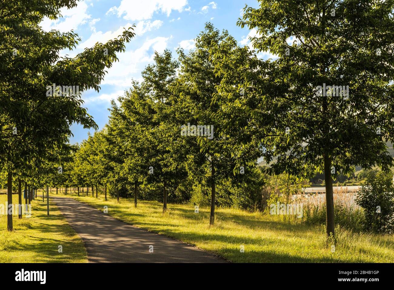 Freizeitsee hi-res stock photography and images - Alamy