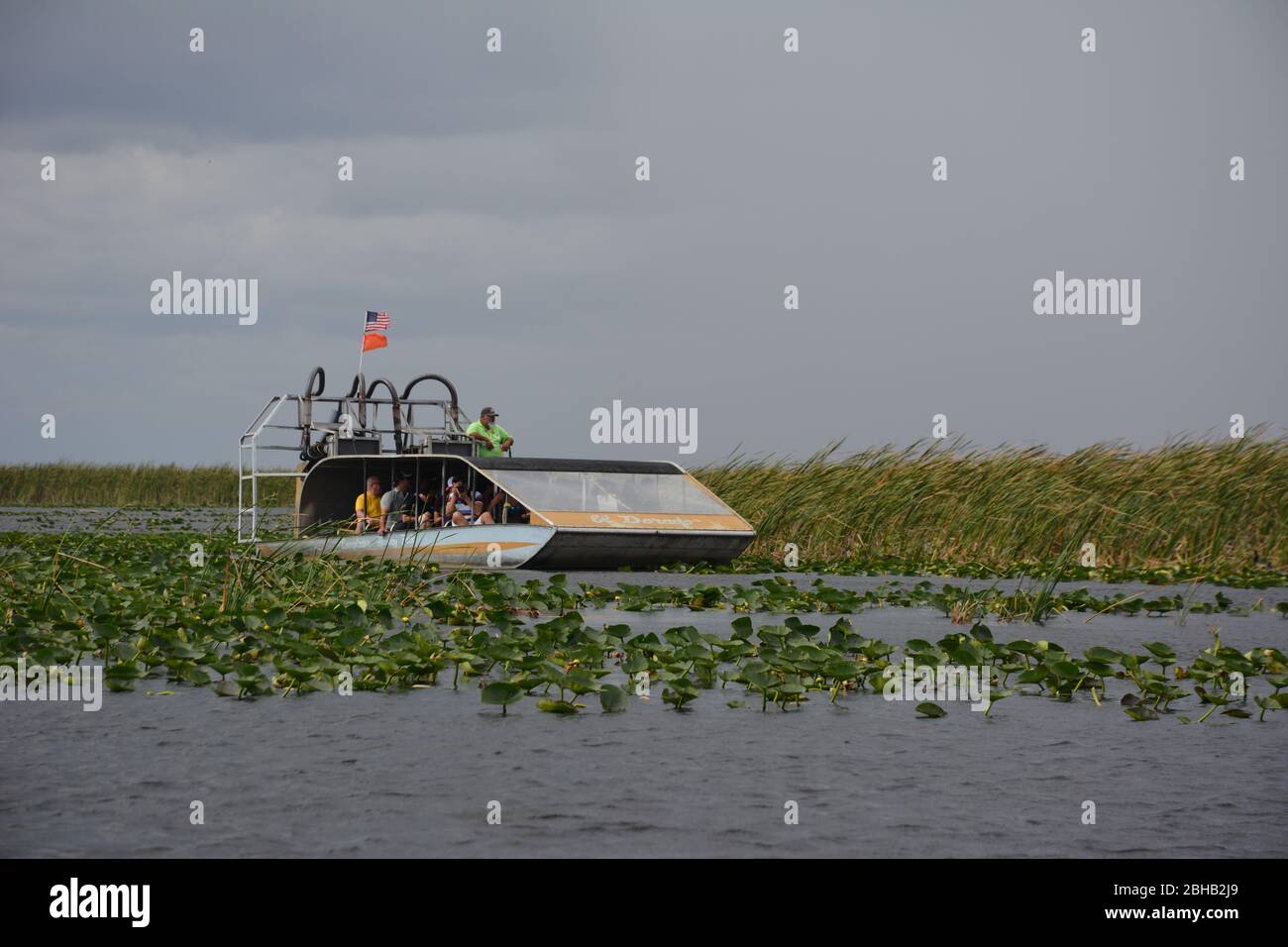 January scene from an airboat tour in Everglades and Francis S. Taylor ...