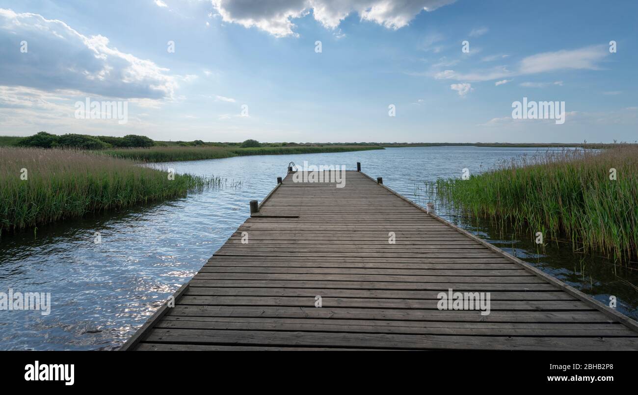 Denmark, Jutland, Ringkobing Fjord Stock Photo - Alamy