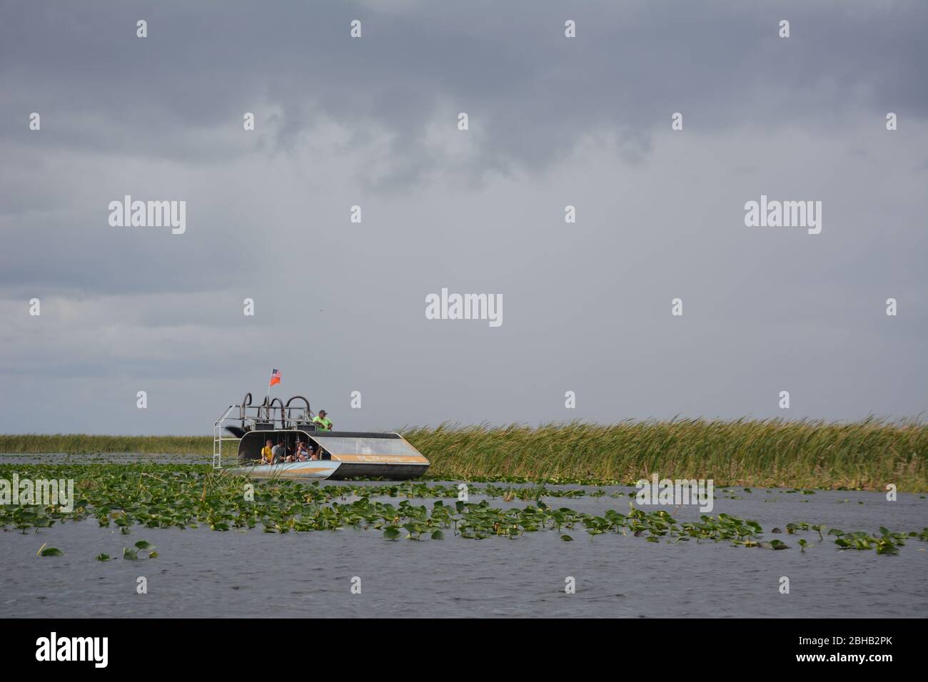 January scene from an airboat tour in Everglades and Francis S. Taylor ...