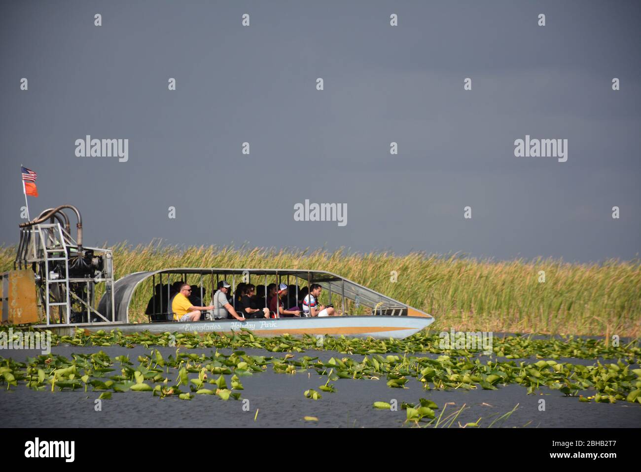 January scene from an airboat tour in Everglades and Francis S. Taylor ...