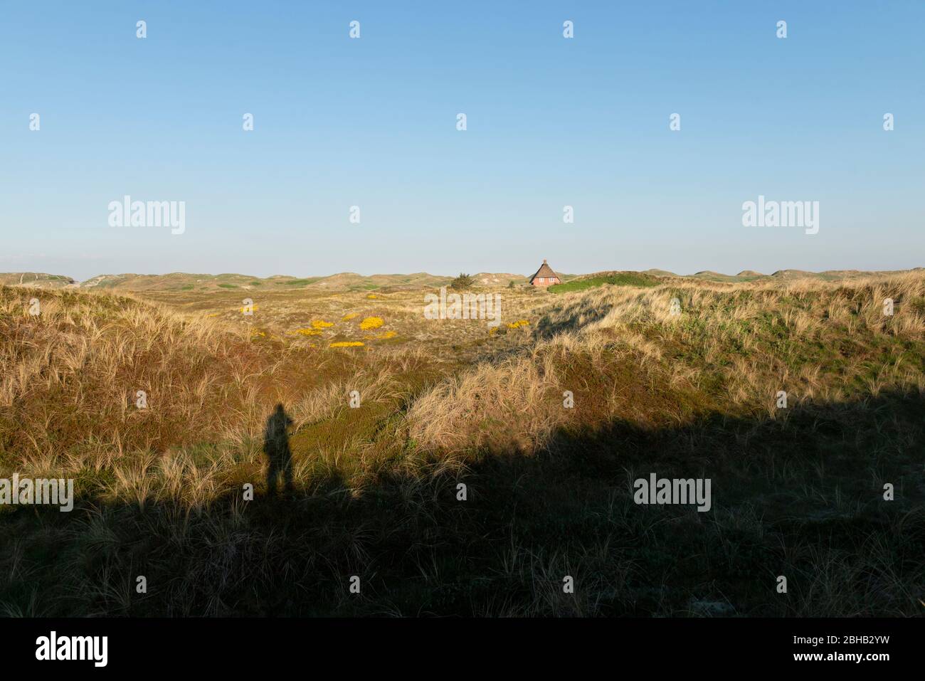 Denmark, Ringkøbingfjord, Varde, thatched house in the dunes at ...