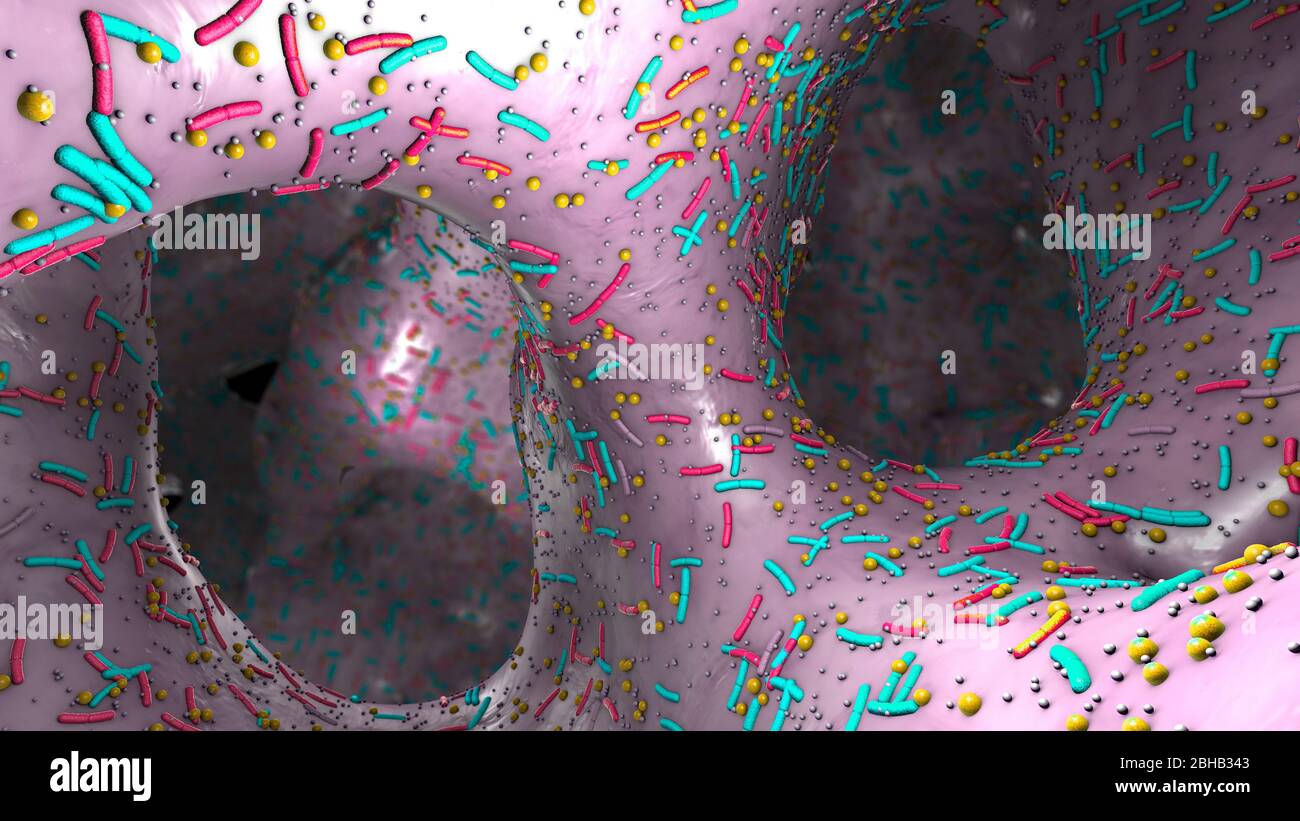 Human digestive system microbiota, 3d illustration Stock Photo - Alamy