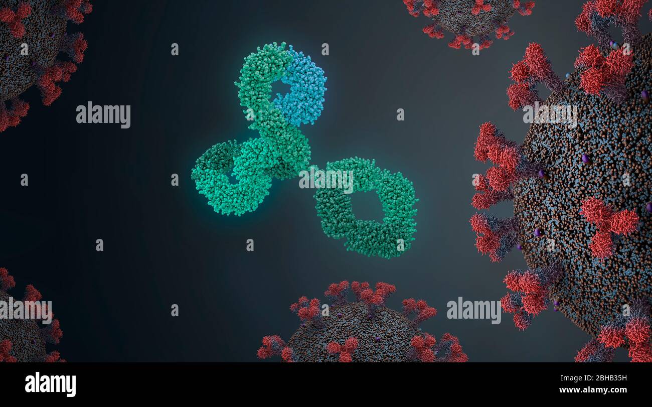 Antibodies Attacking Virus 3d Illustration The Bodys Own Immune