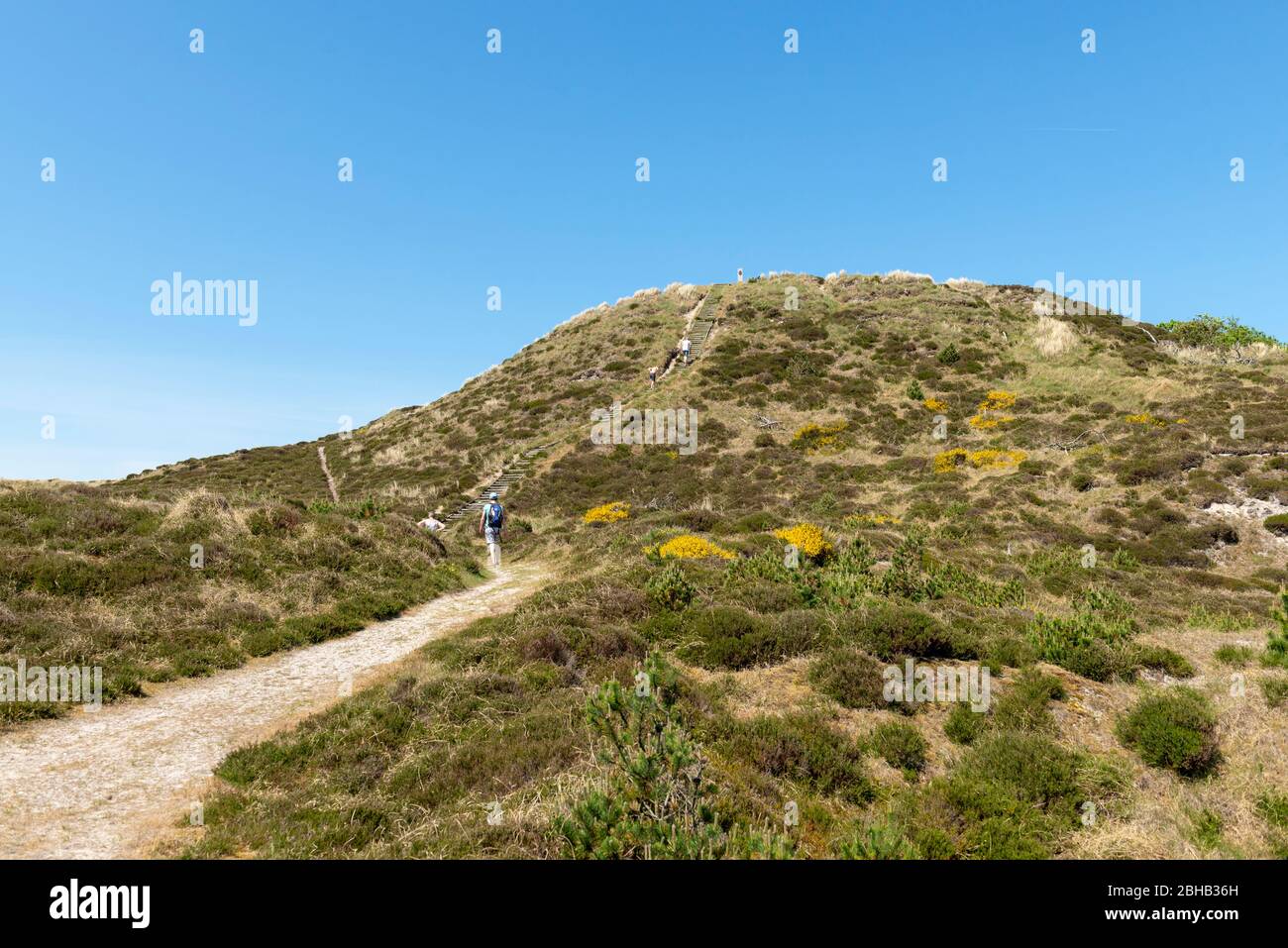 Denmark, Jutland, Ringkobing Fjord Stock Photo - Alamy