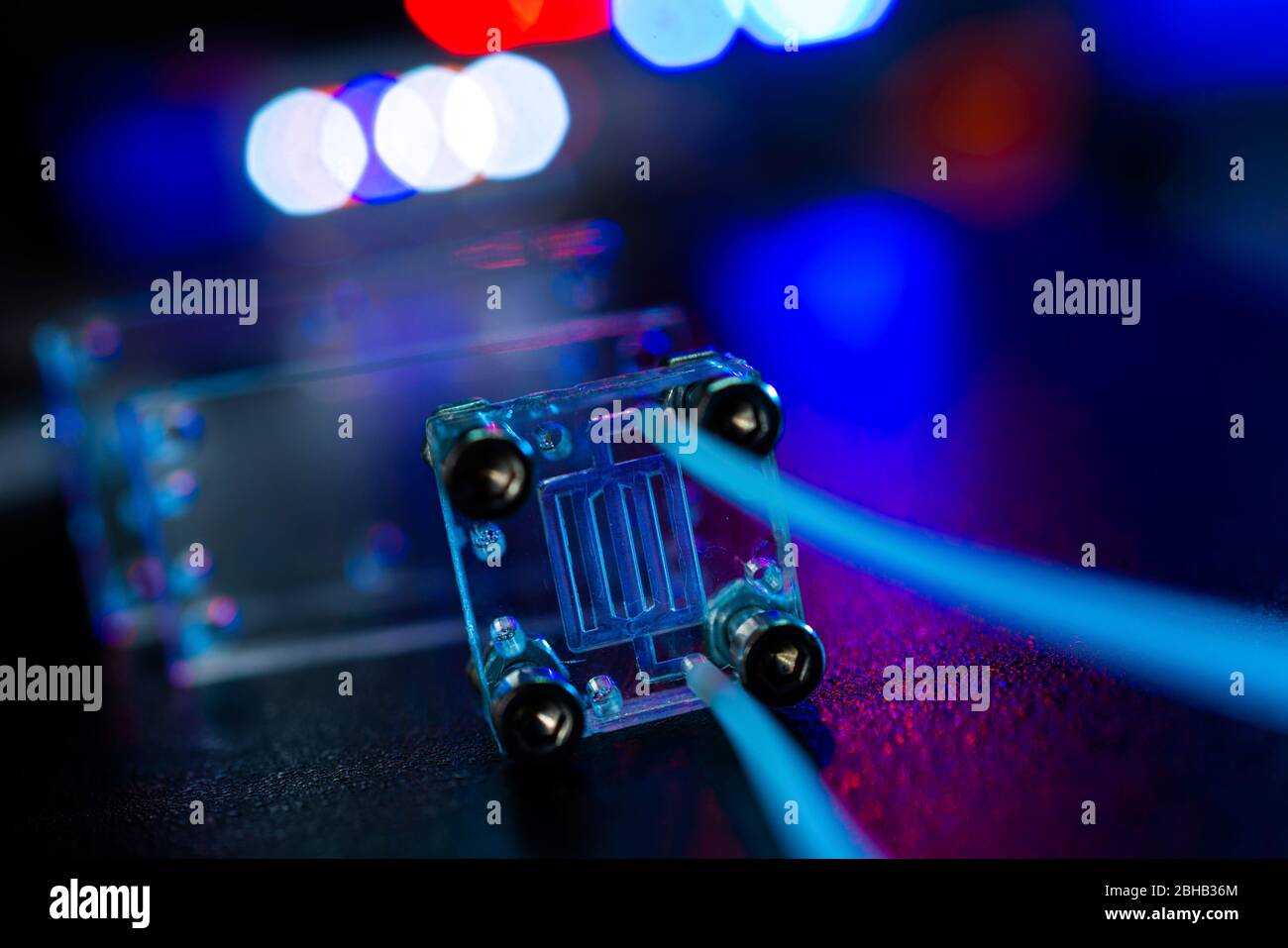 Organ-on-a-chip. This is a microfluidic device that simulates ...