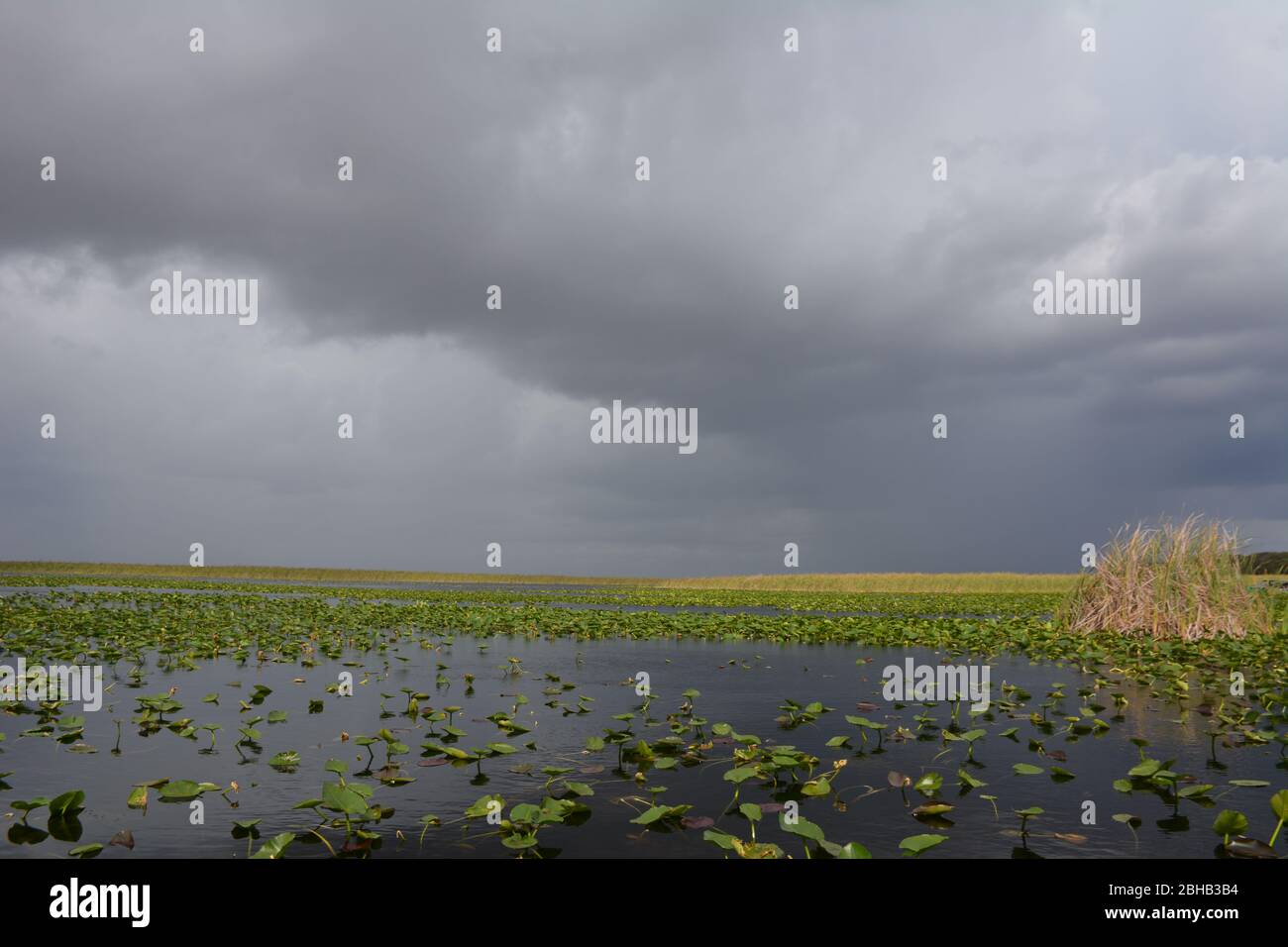 Clouds brewing in a January scene from an airboat tour in Everglades ...