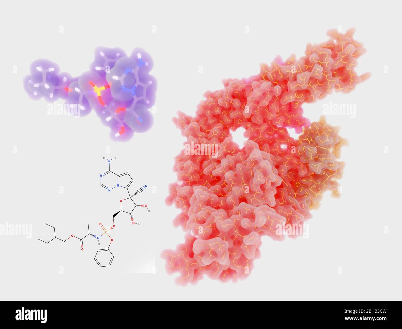 Molecular models of the nucleotide analogue drug remdesivir and its ...