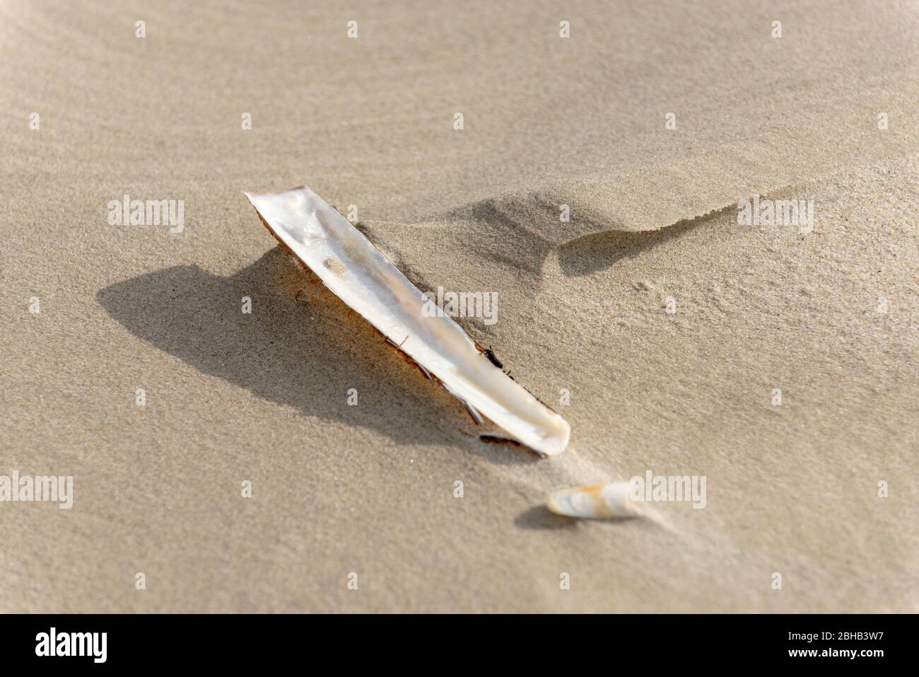 Sword shaped scabbard hi-res stock photography and images - Alamy