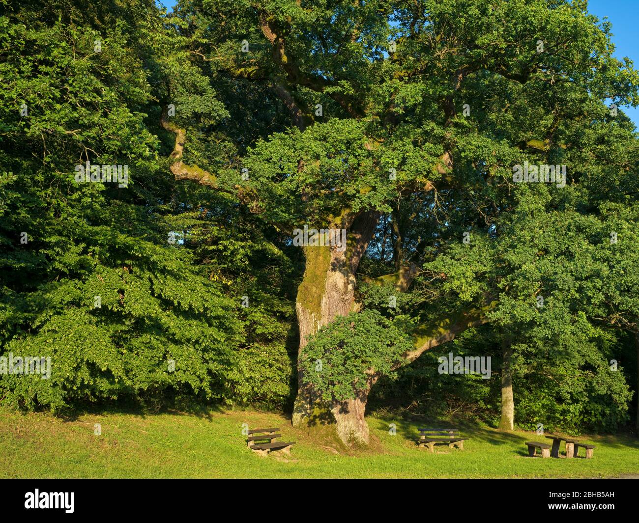 Rossbach hi-res stock photography and images - Alamy