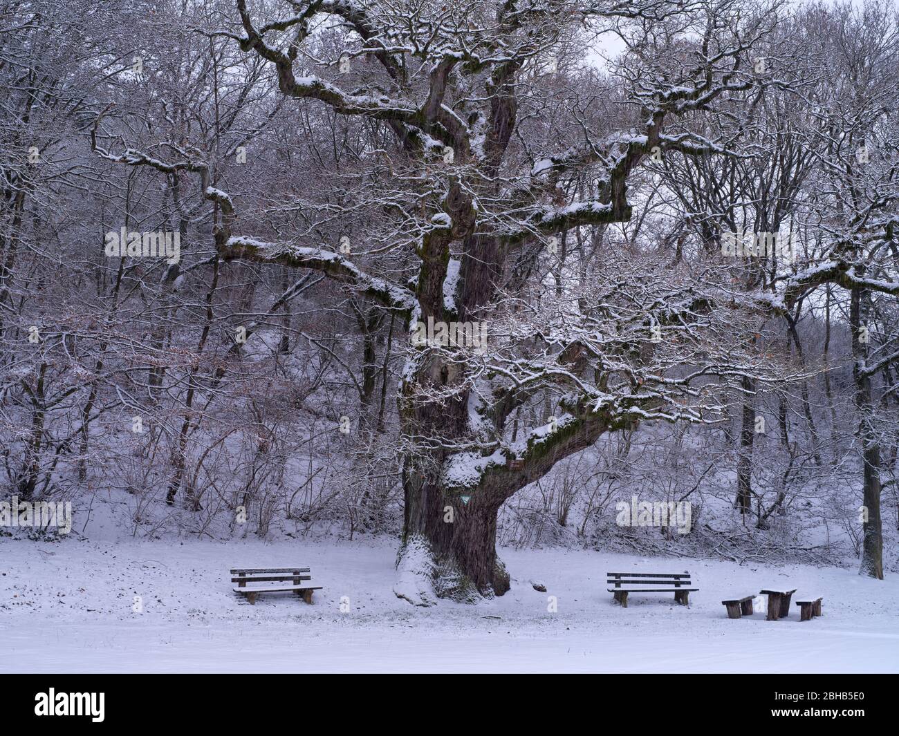 Rossbach hi-res stock photography and images - Alamy