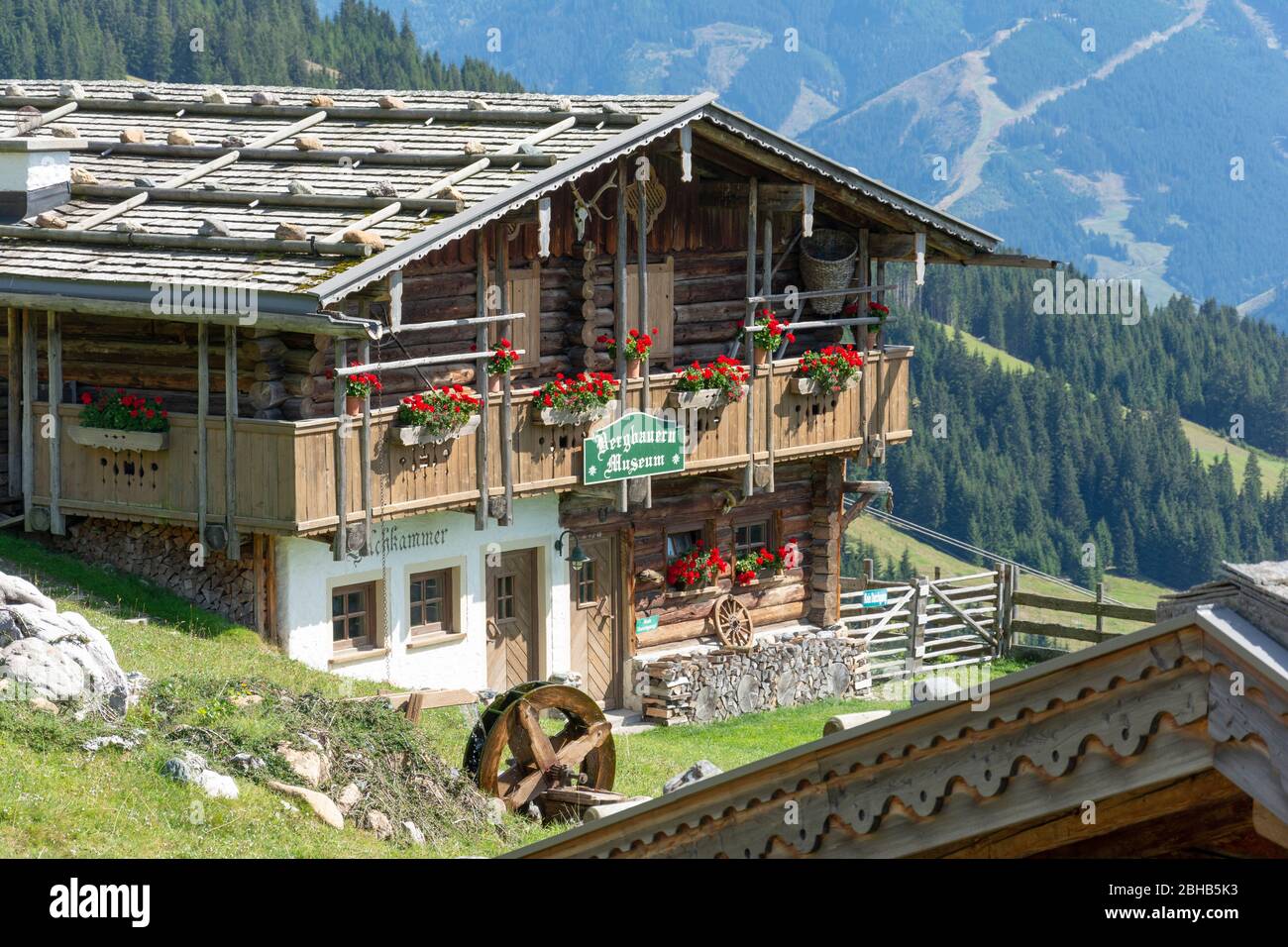 Austria, Saalbach-Hinterglemm, at the Panorama Alm Stock Photo - Alamy