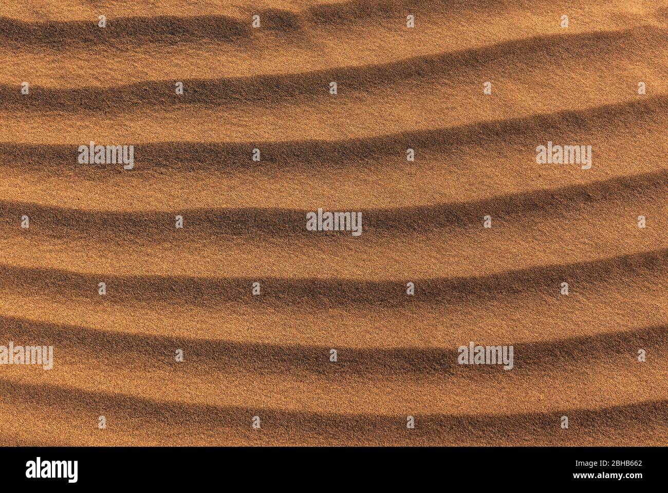 Gold sand texture close up at sunset Stock Photo - Alamy