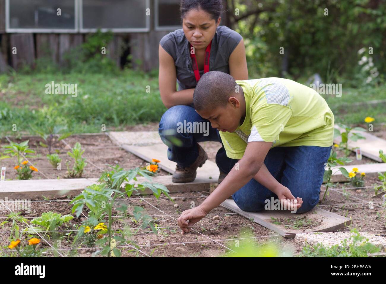 Classroom garden planning hi-res stock photography and images - Alamy