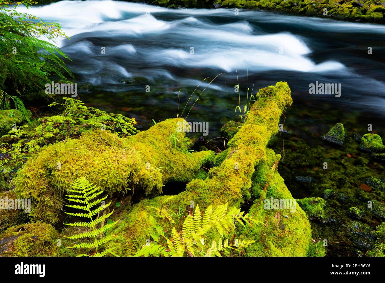Flowing hi-res stock photography and images - Alamy