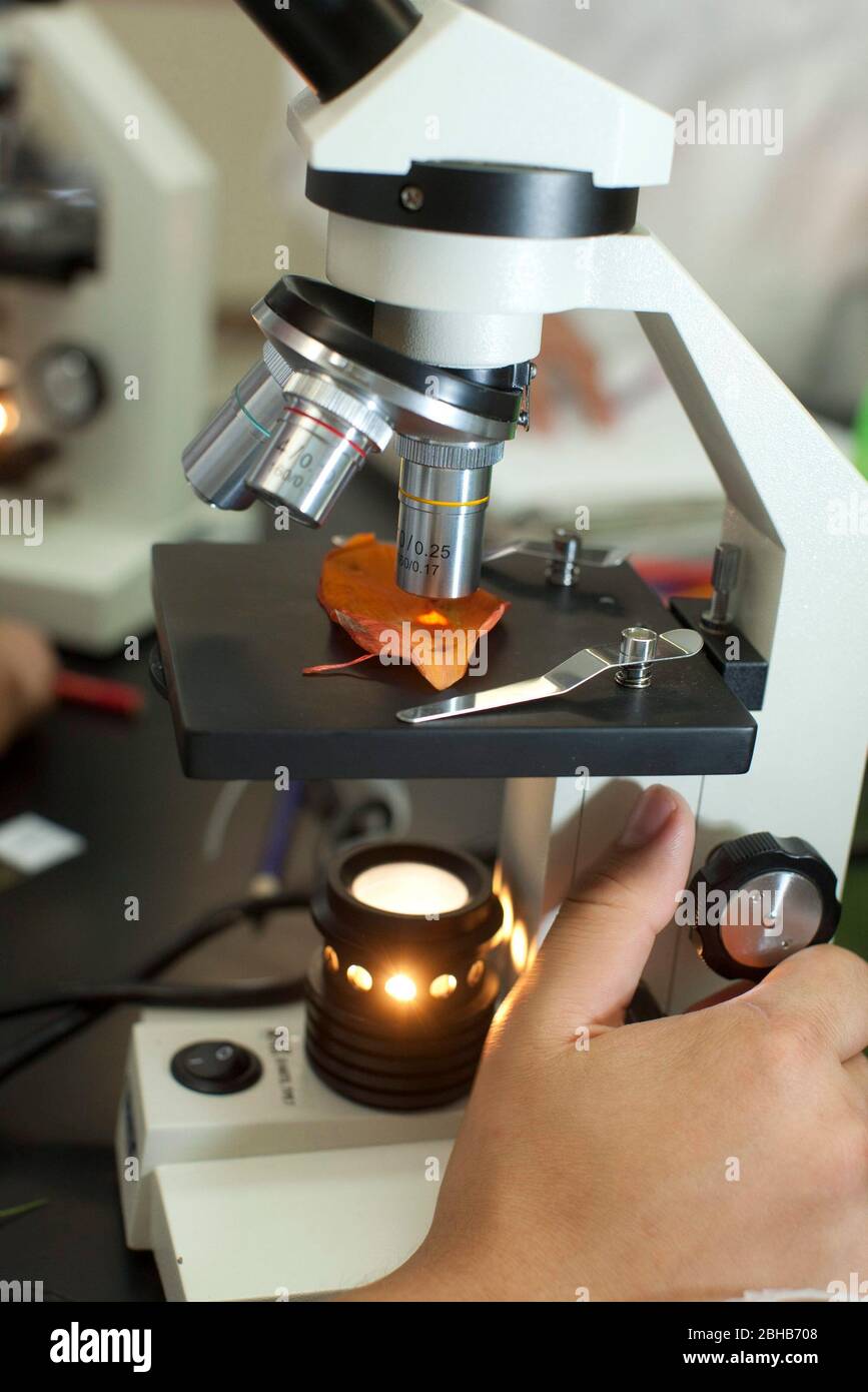 Public high school biology lab hi-res stock photography and images - Alamy