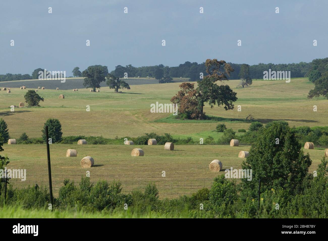 Texas summer 2010 hi-res stock photography and images - Alamy