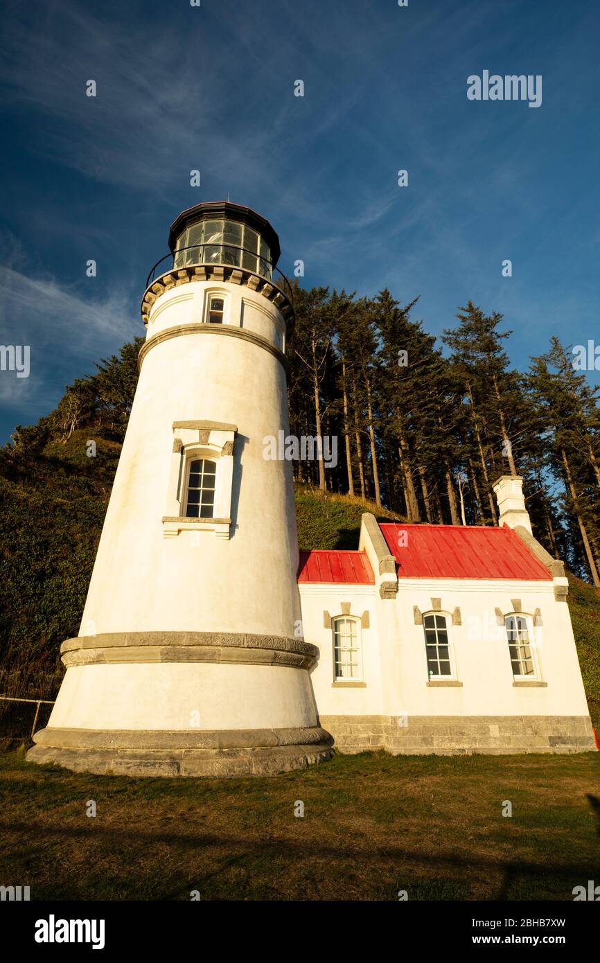 Tillamook forest, people hi-res stock photography and images - Alamy