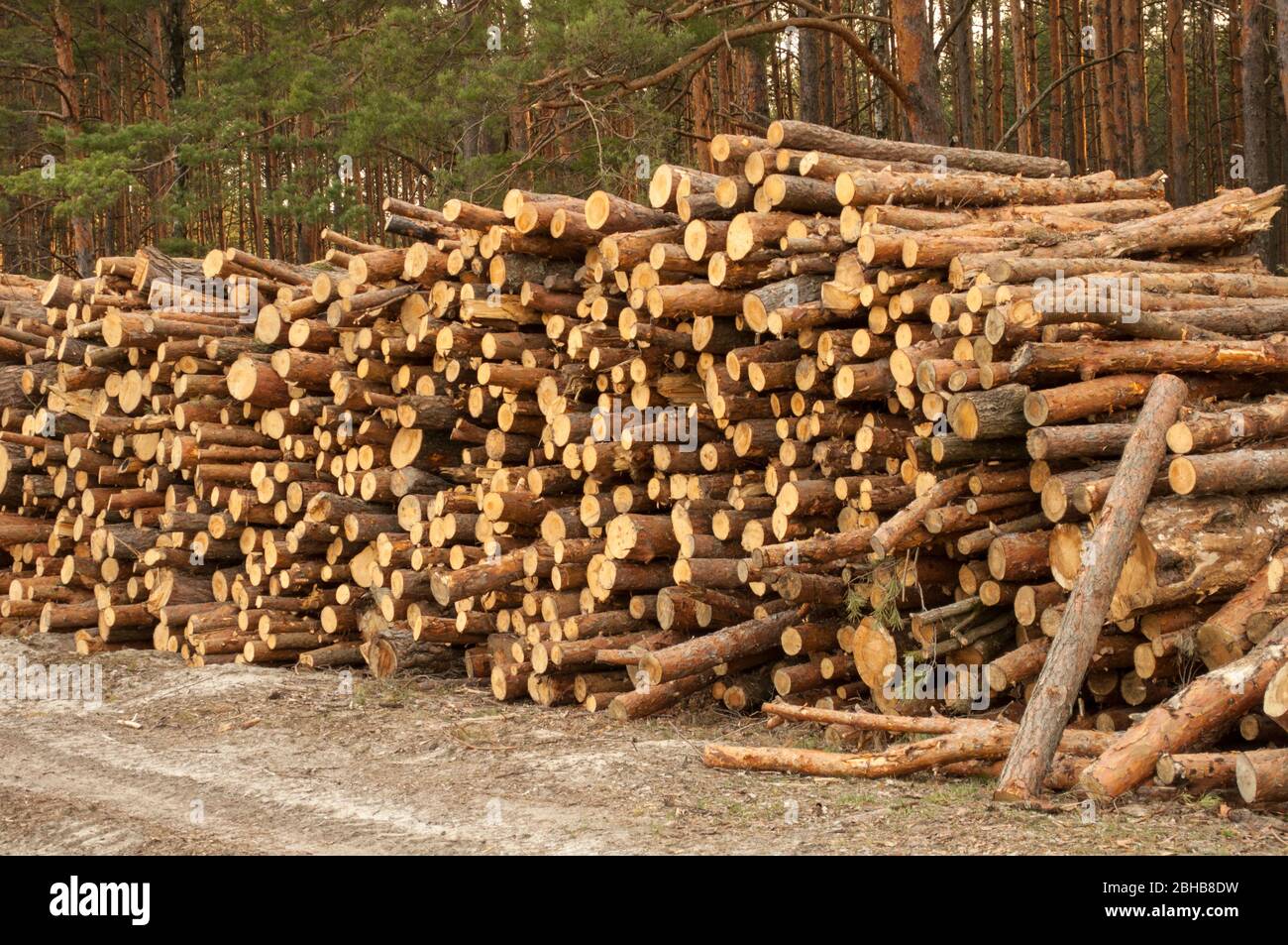 Lumbering and industry hi-res stock photography and images - Alamy