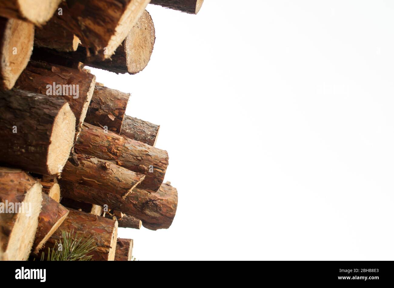 composite non-chopped firewood, wood-storage place, logging company ...