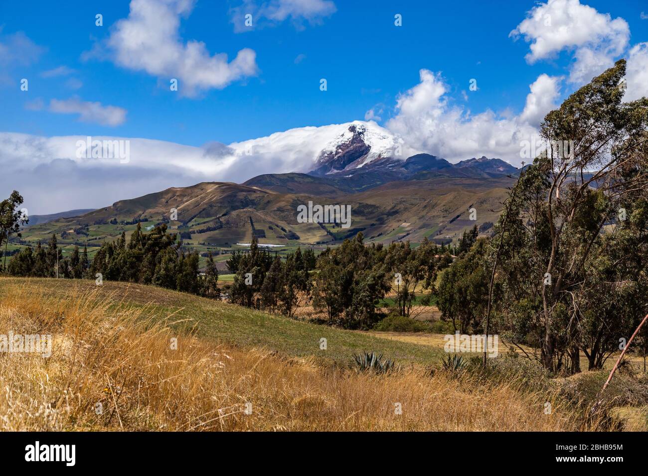 Ecuadorian Andean landscape, Cayambe volcano seen from Pesillo Stock ...