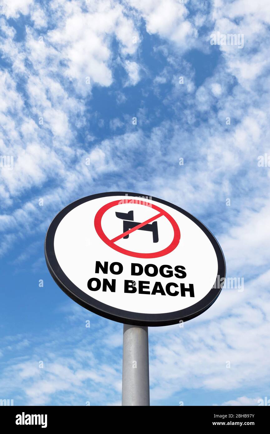 No dogs allowed sign on sky background. Dogs are not allowed on the ...