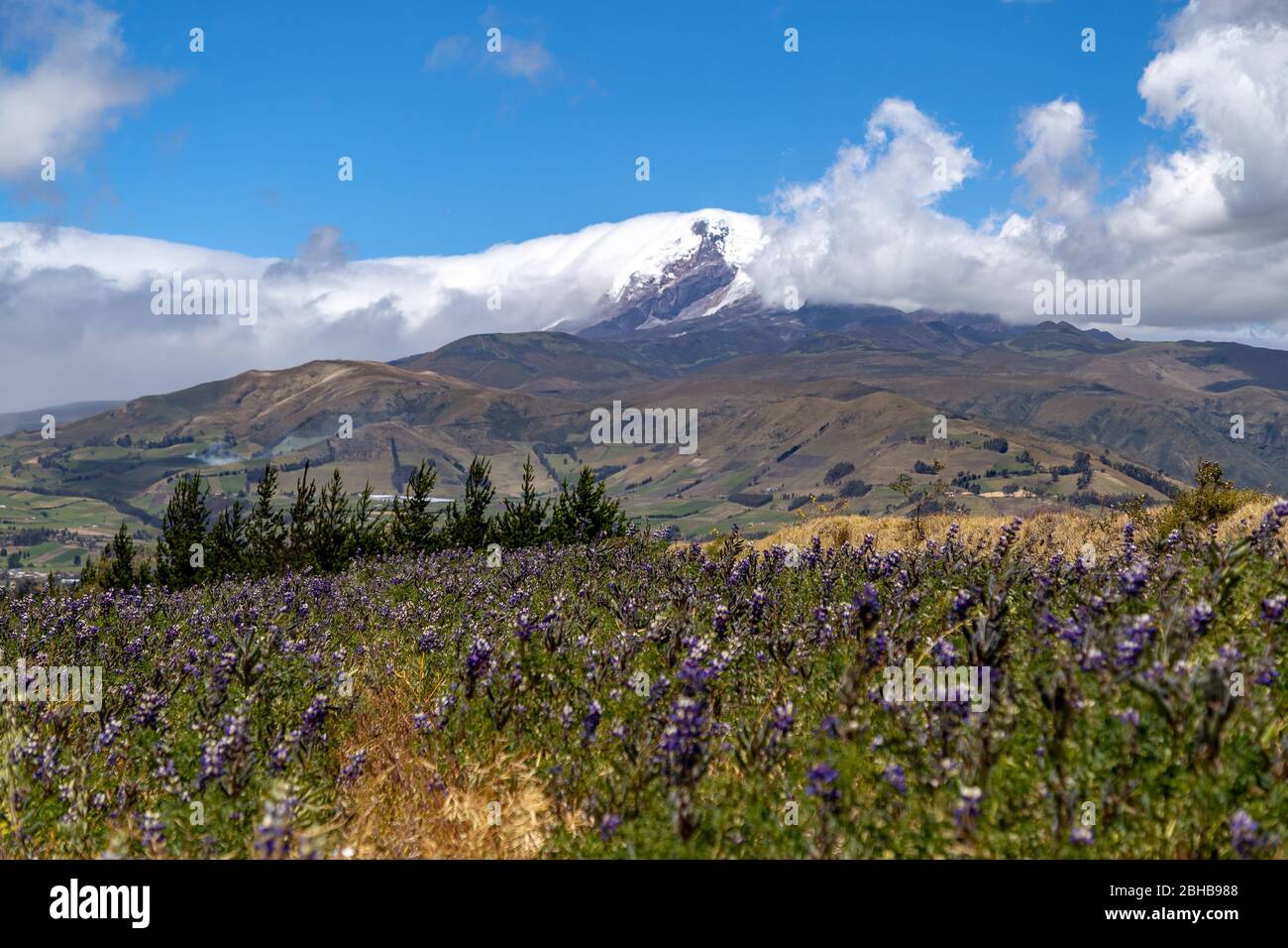 Ecuadorian Andean landscape, Cayambe volcano seen from Pesillo Stock ...