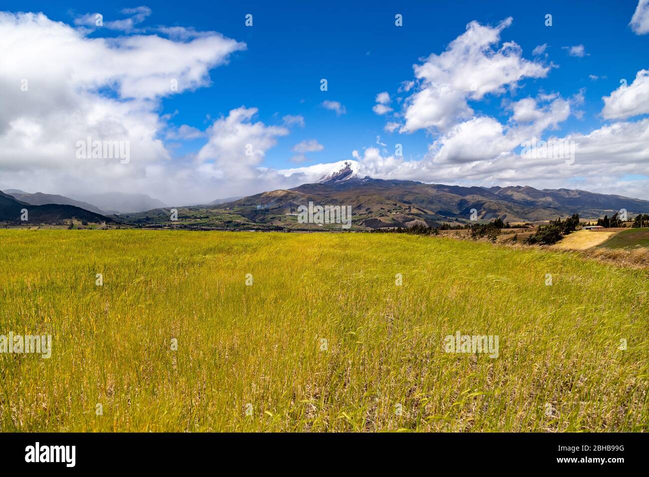 Ecuadorian Andean landscape, Cayambe volcano seen from Pesillo with ...