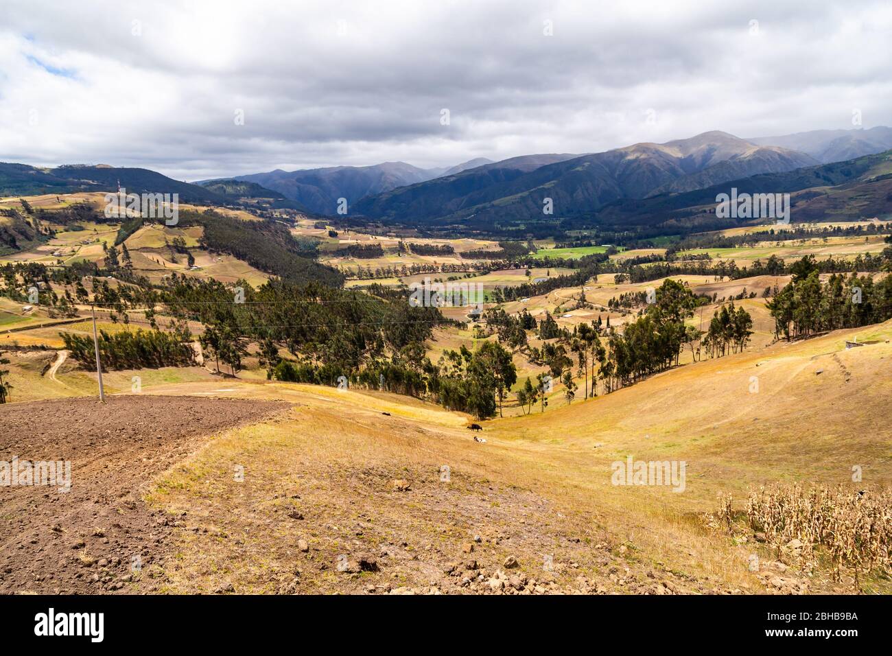 Ecuadorian Andean landscape, province of Imbabura around Zuleta and ...