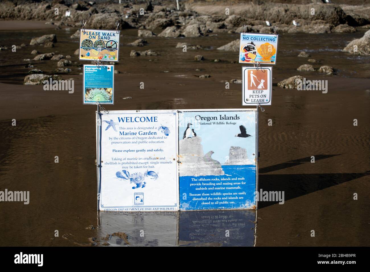 Beach and information posters, Cannon Beach, Oregon, USA Stock Photo ...