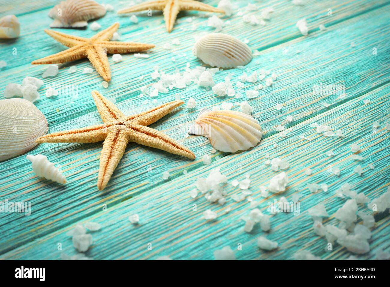 Closeup sea shells stars hi-res stock photography and images - Alamy