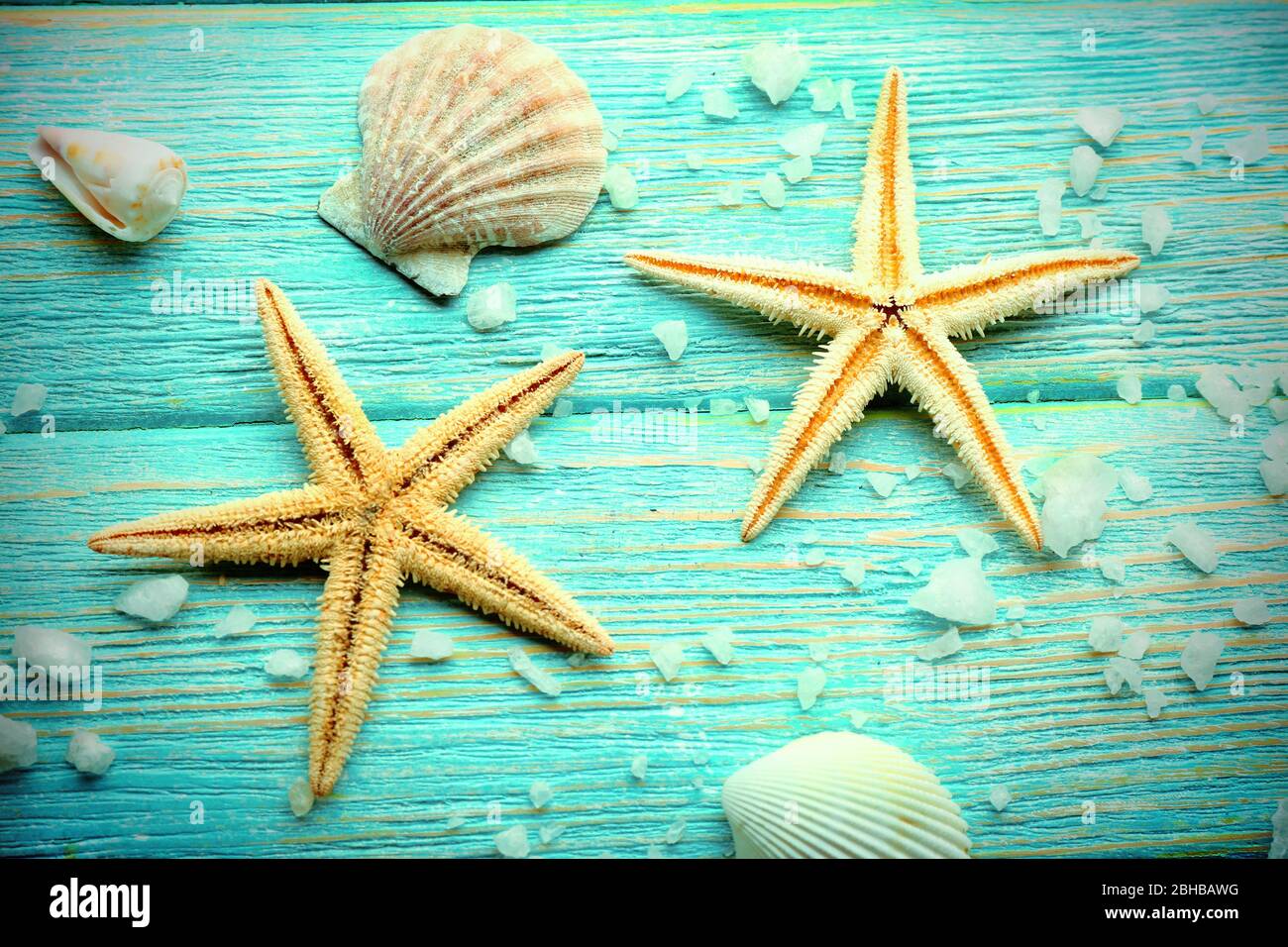 Concept shells sea stars hi-res stock photography and images - Alamy