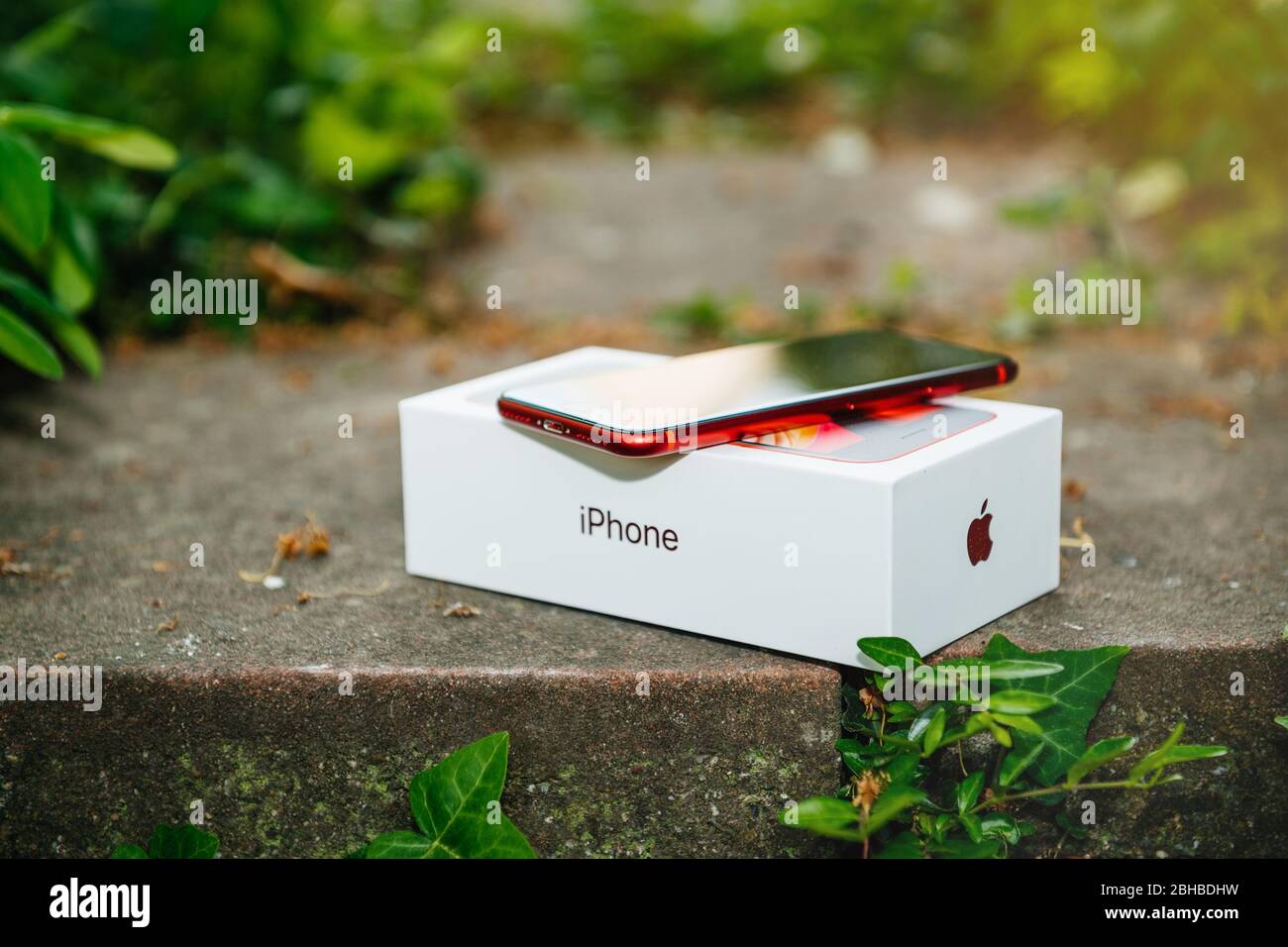 Se side cell hi-res stock photography and images - Alamy