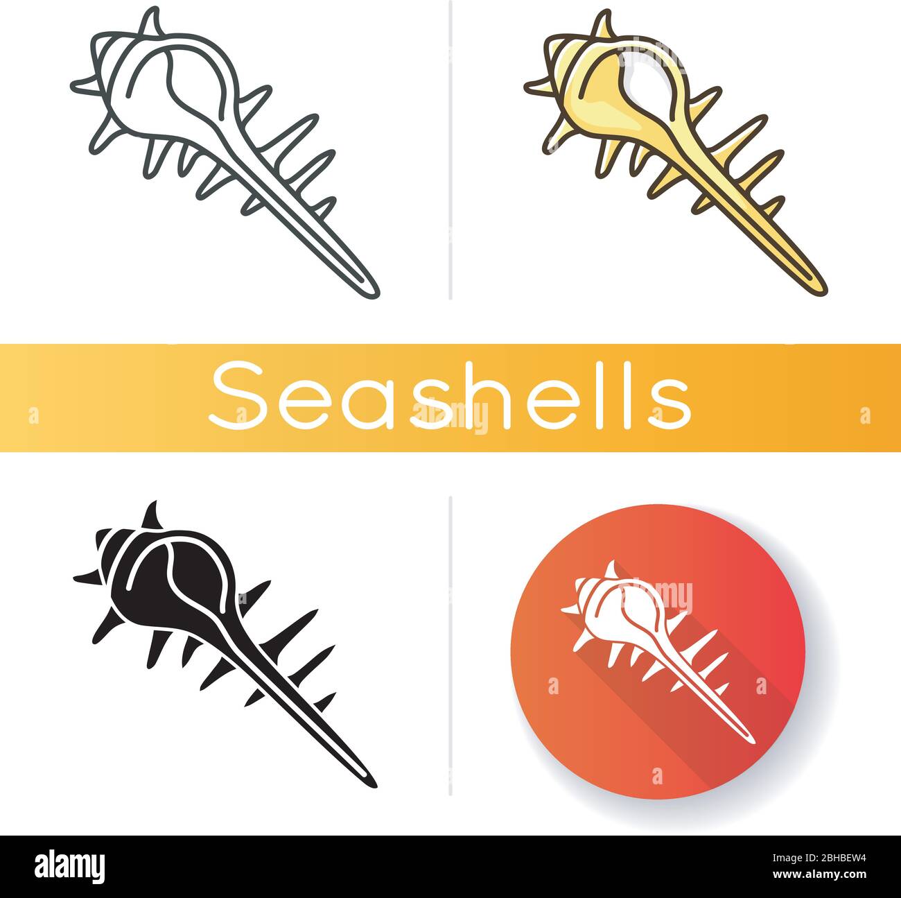 Seashell shell murex Stock Vector Images - Alamy