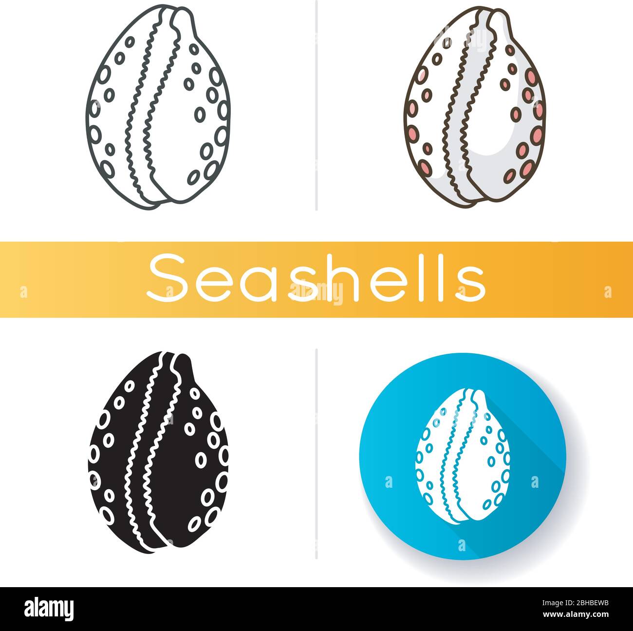 Cowrie shell icon Stock Vector Image & Art - Alamy