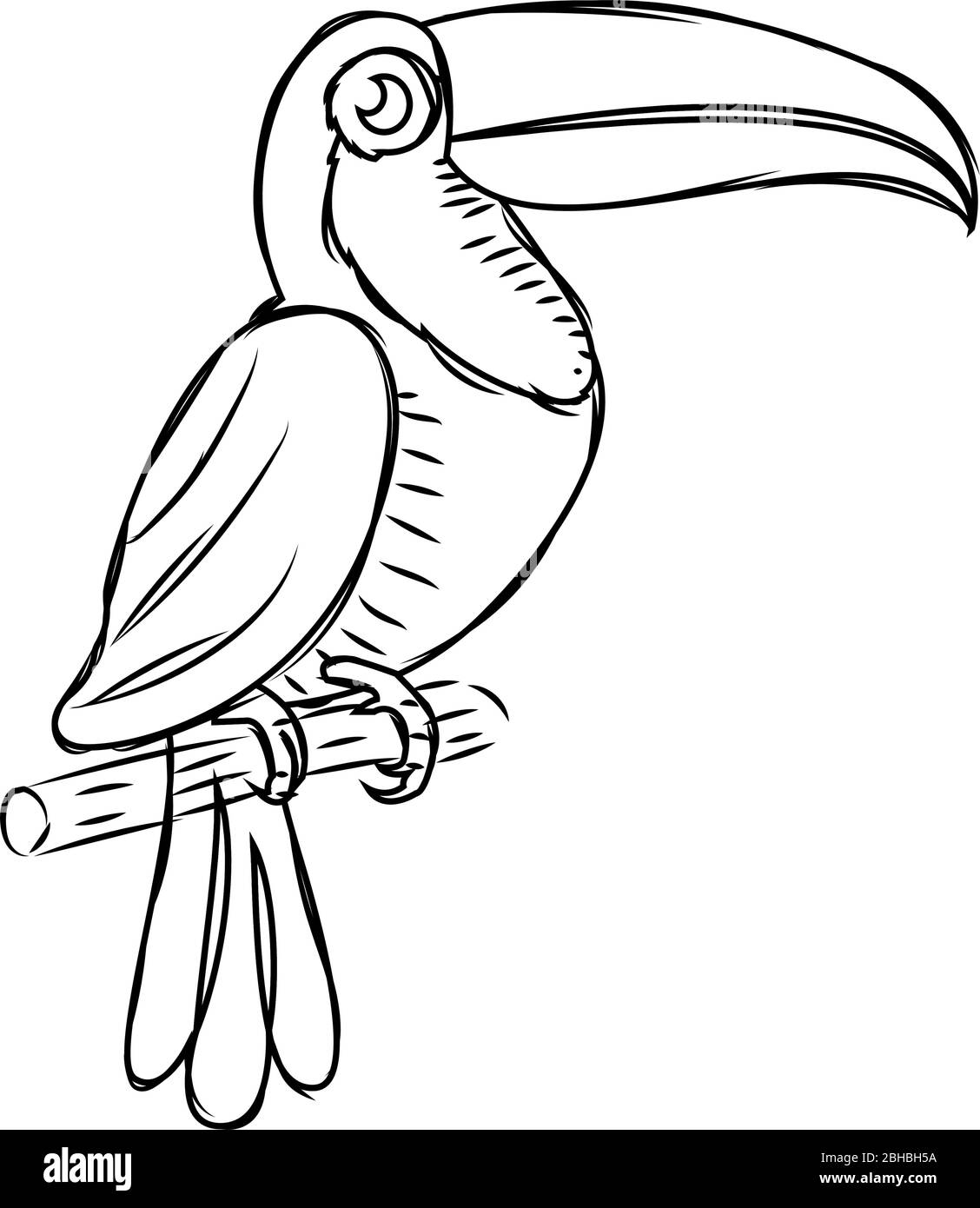 Big pelican Black and White Stock Photos & Images - Alamy