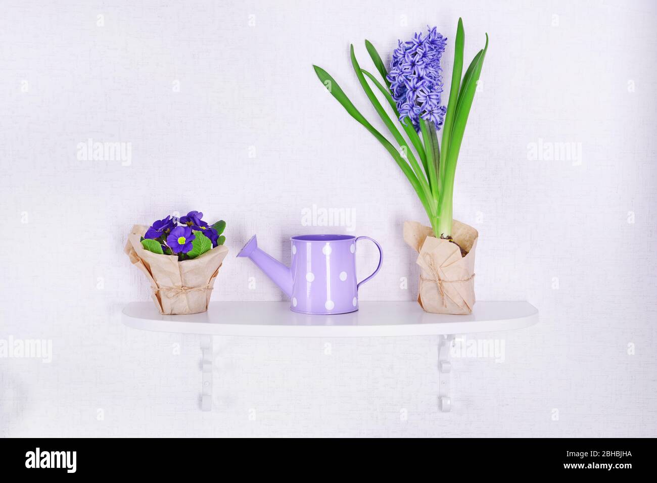 Flower on shelf on white wall background Stock Photo - Alamy