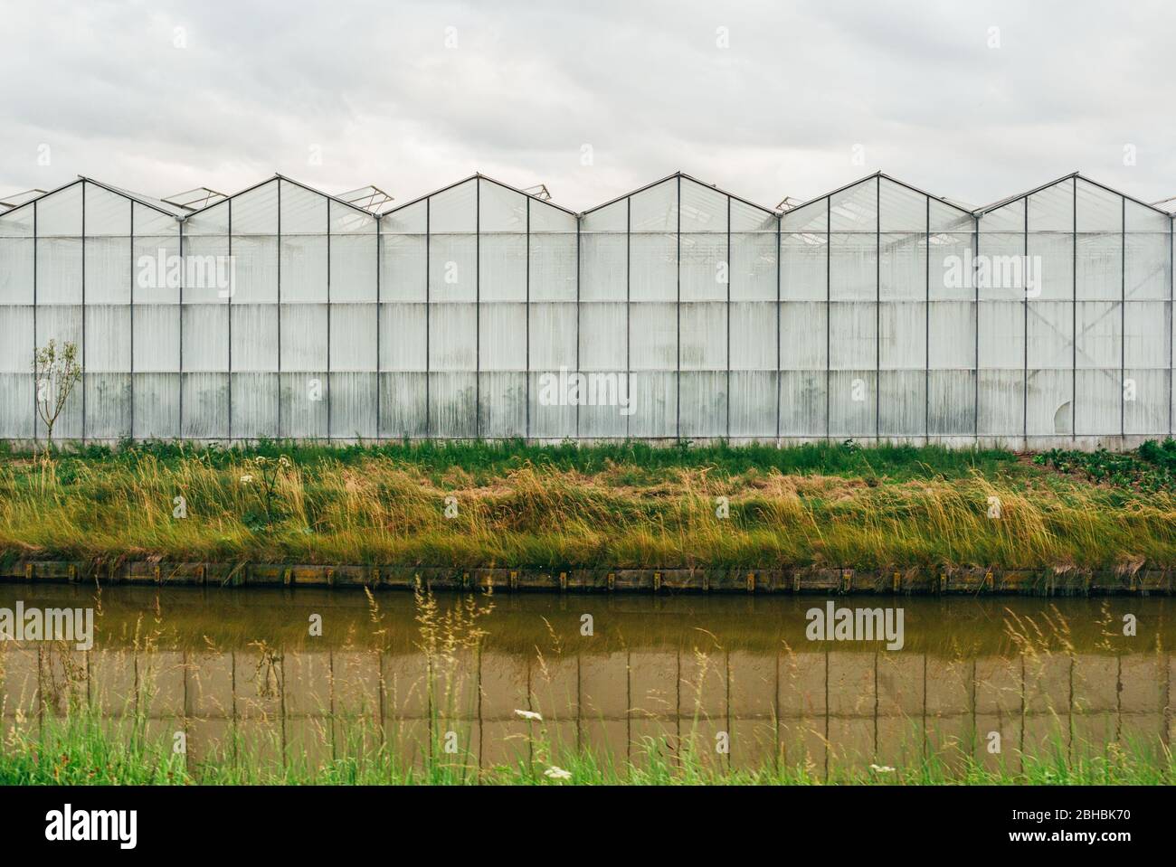 Front view of a modern greenhouse in the Netherlands Stock Photo - Alamy