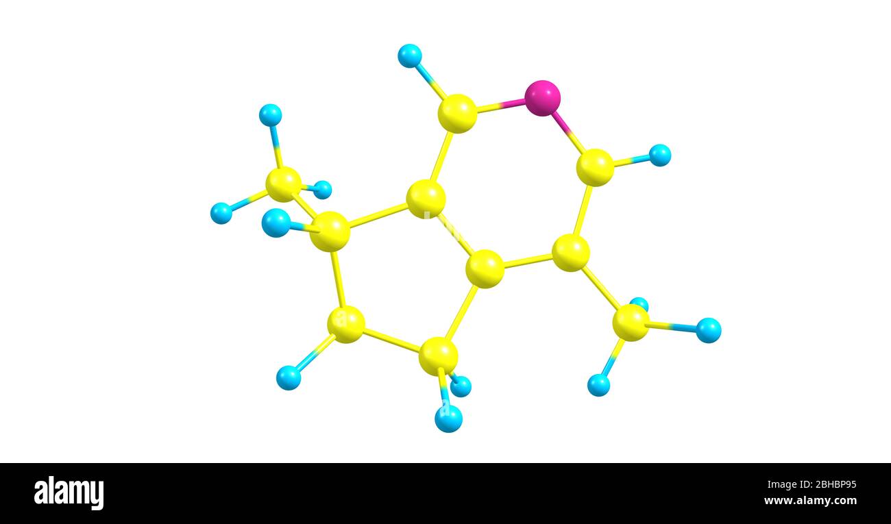 Silver vine hi-res stock photography and images - Alamy