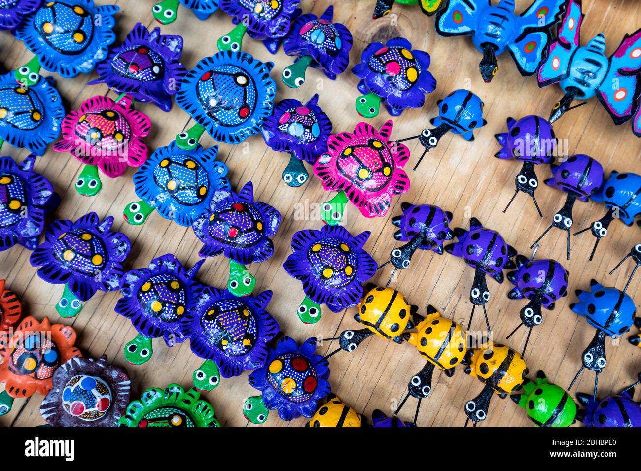 Hand painted turtle hi-res stock photography and images - Alamy