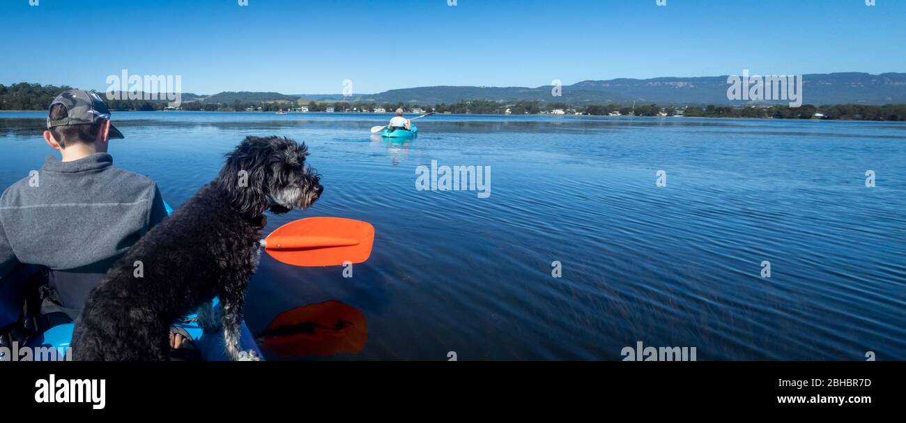 Panorama with teenage boy and dog kayaking on peaceful sunny lake, best ...